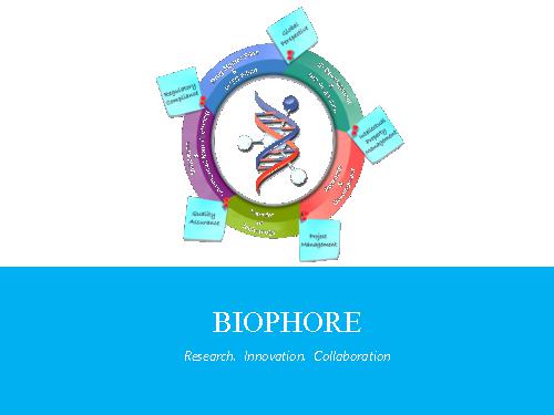 Corporate Presentation PDF | Biophore India Pharmaceuticals Pvt Ltd ...