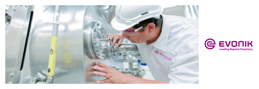 Evonik DMF, CEP, Written Confirmations, FDF, Prices, Patents, Patents ...