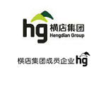 Hengdian Group DMF, CEP, Written Confirmations, FDF, Prices, Patents ...
