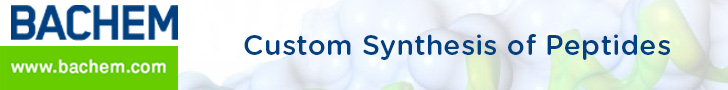CDMO|CMO|Drug substance development|API custom synthesis