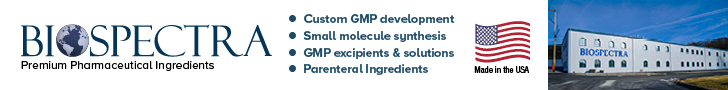 CDMO|CMO|Drug substance development|API custom synthesis